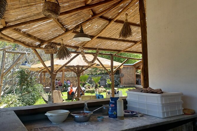 Farm tour with cheese & pizza experience, wine & Limoncello test - Weather Considerations