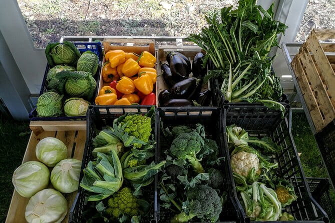 Fiesole: Tuscan Countryside Half Day E-Bike Tour & Farm visit - The Real Experience: What Travelers Are Saying
