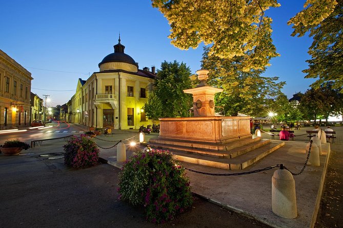From Belgrade: Novi Sad and Sremski Karlovci Tour - Who This Tour Is Best For