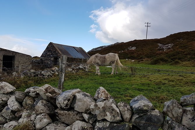 From Galway: Guided tour of Connemara with 3 hour stop in Kylemore Abbey - FAQ
