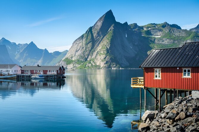 From Leknes port: Special Summer Guided Tour of Lofoten - Authentic Experiences and Local Culture