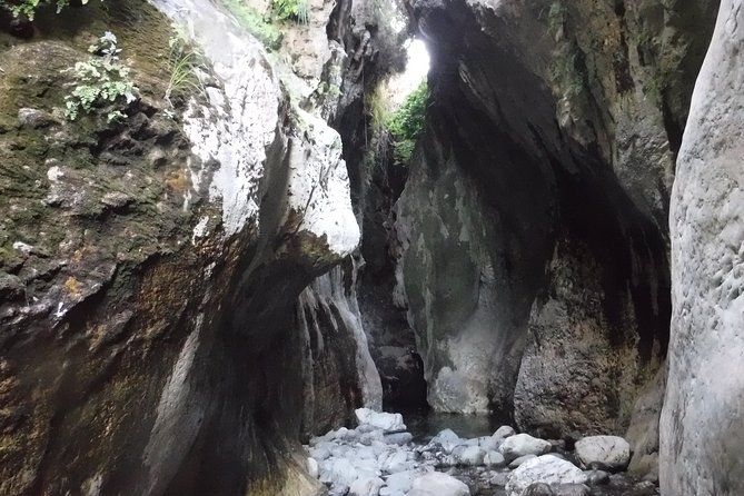 From Marbella: Canyoning Tour in Guadalmina Canyon - Booking and Logistics