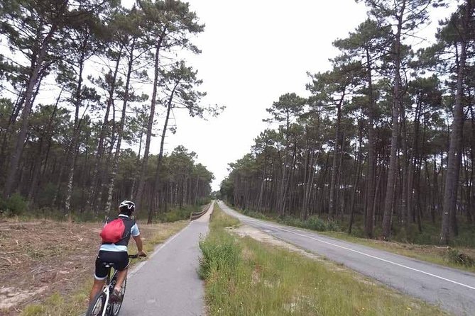 From Porto with view to Gaia: Private Bike Tour #DuckSideOfPorto - FAQs