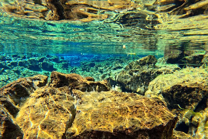 From Reykjavik- Silfra Snorkeling transfer included - Pricing and Value