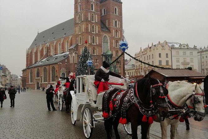From Warsaw Auschwitz and Krakow one day tour by train with pick up and drop off - Pricing and Value