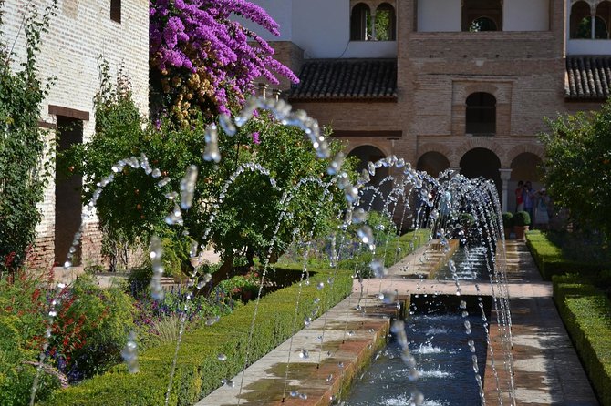 Full Alhambra tour with preferential access (SPANISH language) - Who Should Consider This Tour?