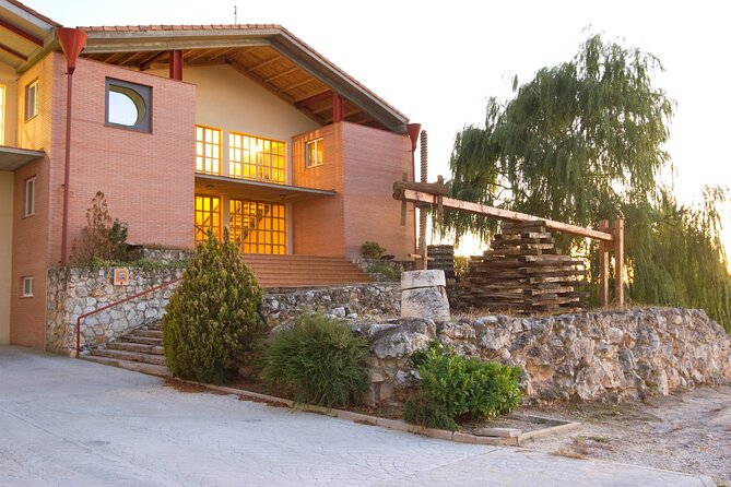 Full day at the winery, visit, tasting, aperitif and lunch - The Sum Up