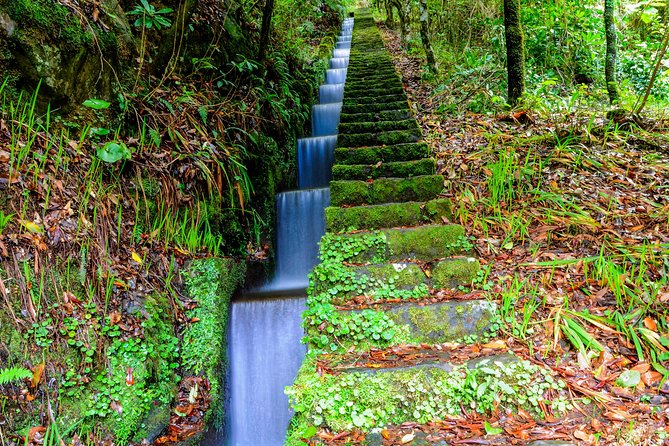 Full Day East of Madeira Tour - Final Thoughts: Who Should Book This Tour?