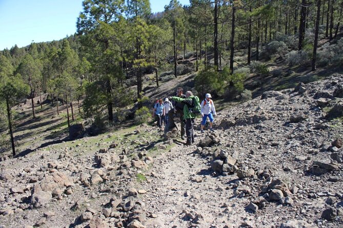 Full day Hiking Gran Canaria Peaks of Gran Canaria - Who Will Love This Tour?