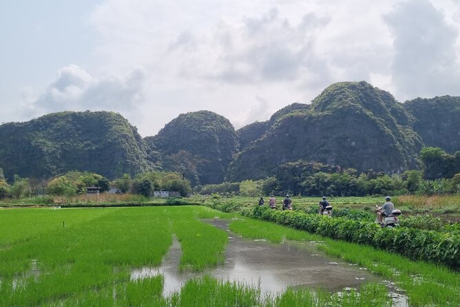 Full Day Ninh Binh Tour From Hanoi With Jeep or Vespa Experiences - Frequently Asked Questions
