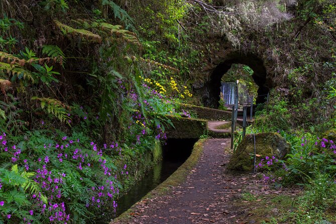 Full Day of Wonders: Madeira 4x4 Private Tour - The Real Value of the Tour