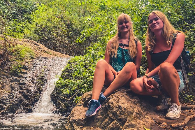 Full Day Rainforest Tour with Tasting and Swimming Time - Who Will Love This Tour