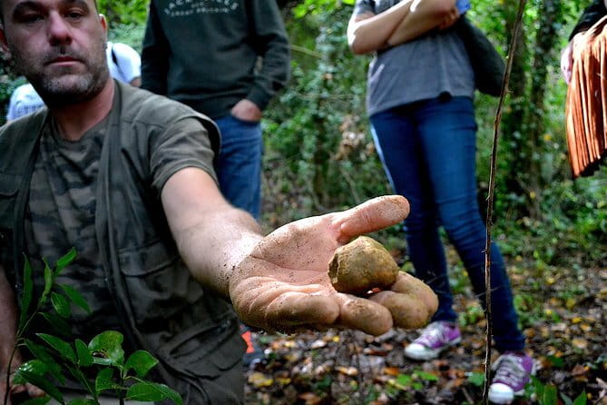 Full-Day Small-Group Truffle Hunting in Tuscany with Lunch - Visiting a Chianti Winery: Sipping in Style