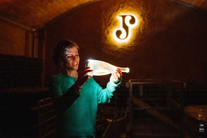 Full-Day Trip Barcelona to Montserrat Monastery & Cava Winery - Who Will Love This Tour?