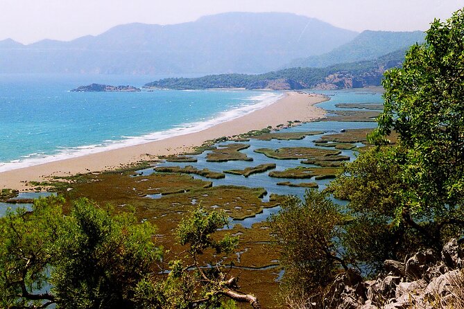 Full Day Turtle Beach Tour With Lake and Mud Baths From Marmaris - The Sum Up