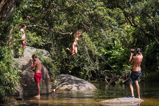 Fun, Falls and Forests Day Trip from Cairns - Authentic Experiences and Review Highlights
