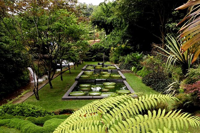 Furnas & Terra Nostra Botanic Park Tour w/Lunch + Hotsprings Bath - The Bottom Line