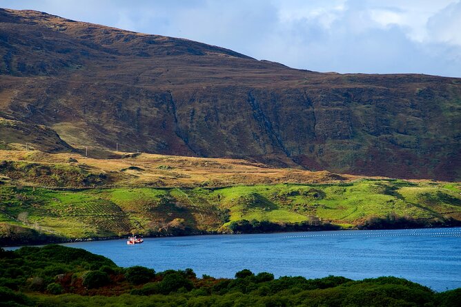 Galway to Connemara National Park Day Tour - Practical Tips for Travelers