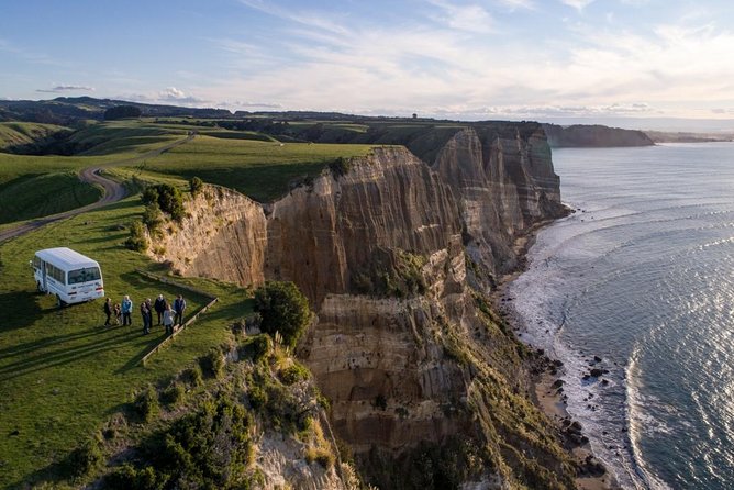 Gannet Safaris Overland tour to Cape Kidnappers Gannet Colony - Why This Tour Rises Above the Rest