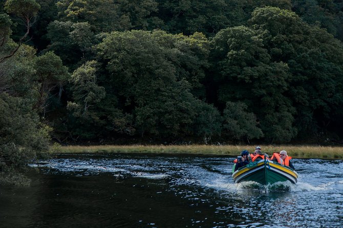 Gap of Dunloe Tour (Boat & Bus) - Who Will Enjoy This Tour?