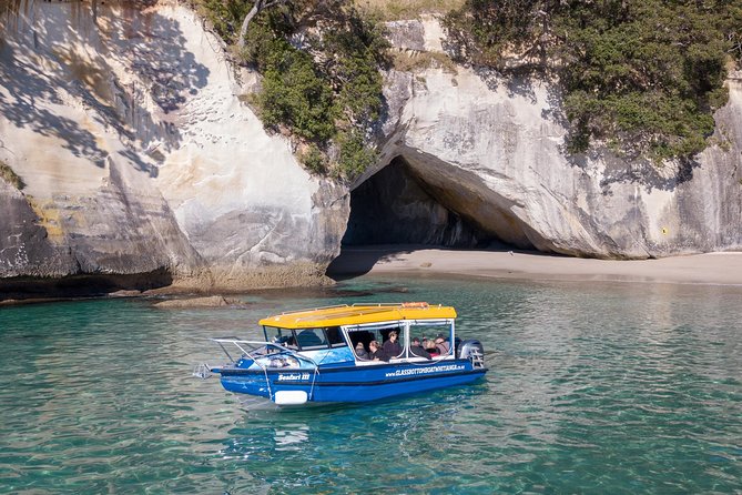 Glass Bottom Boat Whitianga Cathedral Cove Cruise - FAQs