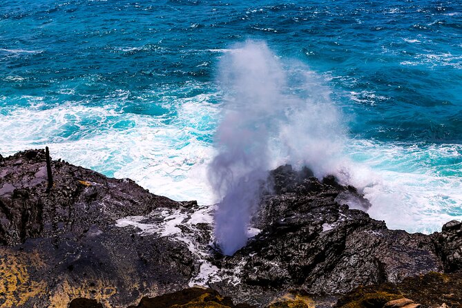 Grand Circle Island and Haleiwa 9 Hour Tour - The Price and Overall Value