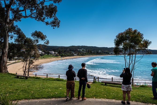 Great Ocean Road Small-Group Eco Tour from Melbourne - Practical Considerations & Tips for Future Travelers