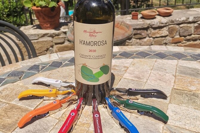 Greve in Chianti Wine Tasting and Winery Tour - Practical Tips for Travelers