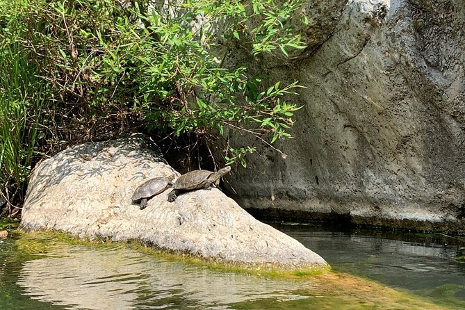 Guided Canyoning Adventure Near Marbella (Benahavís River Walk) - The Sum Up