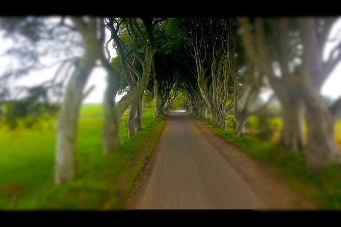 Guided Day Tour of Giant's Causeway from Belfast by Comfortable Coach - Final Thoughts