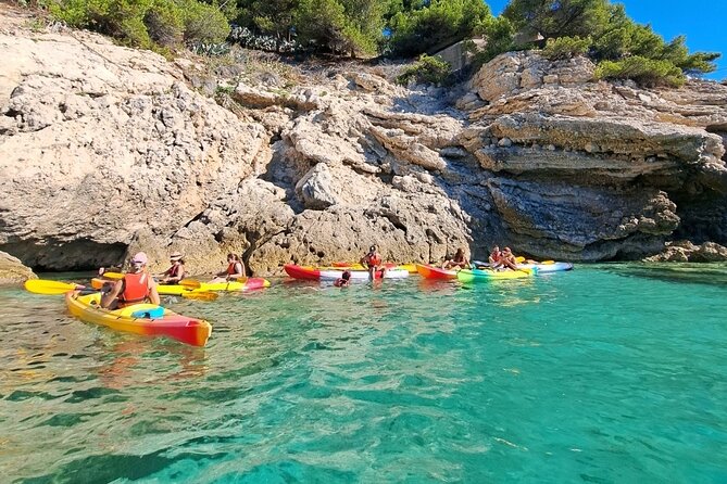 Guided kayak excursion in creeks - FAQ
