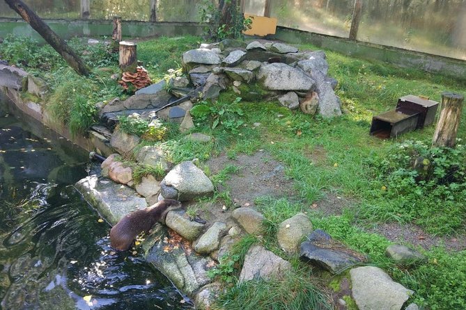 Guided Ranua Wildlife Park tour with Lunch, Small group adventure - FAQ