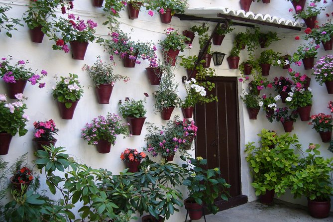Guided Tour to the Popular Patios of Cordoba - The Sum Up