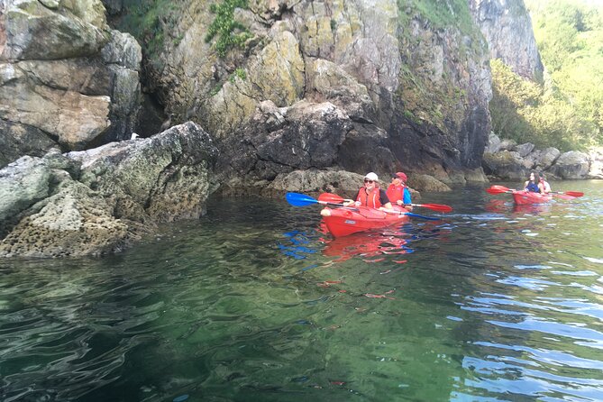 Guided Wildlife and Sea Cave Kayak Safari in English Riviera - The Sum Up: Who Is This Tour Best For?