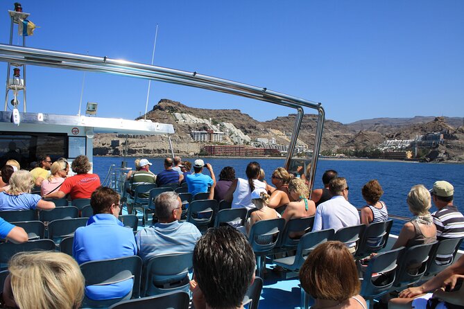 Half-Day Cruise Tour-Dolphin and Whale Watching - Return to the Coast and Final Impressions