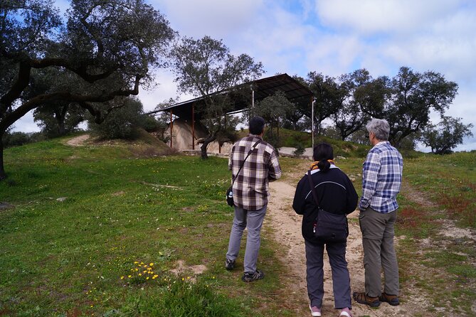 Half Day Megaliths Cromlech Tour from Evora by Archaeologists - Who Should Consider This Tour?