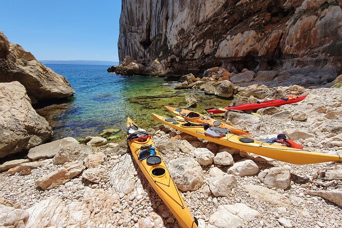 Half Day Sea Kayak Trip - The Authentic Experience: Nature, Knowledge, and Relaxation