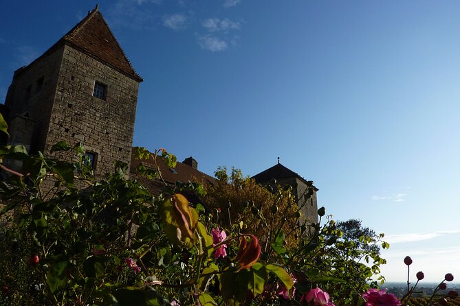 Half Day Tour of the Cote de Nuits Vineyards from Dijon - The Guide and Group Experience