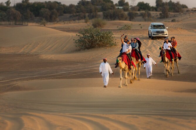 High Red Dunes with Camel Ride, Sandboarding, Falcon Show and VIP BBQ Dinner - Who Should Consider This Tour?