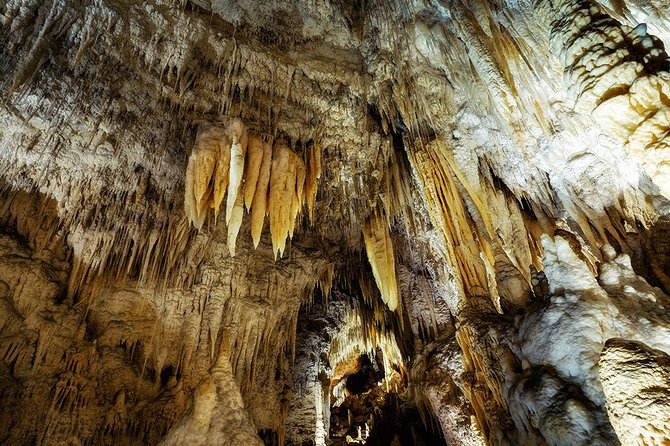 Hobbiton & Waitomo Caves Small Group Tour from Auckland - Frequently Asked Questions