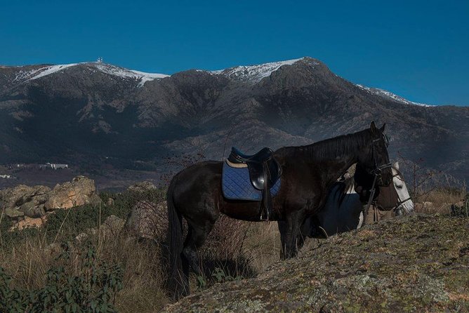 Horse Riding Madrid Natural Park - FAQs