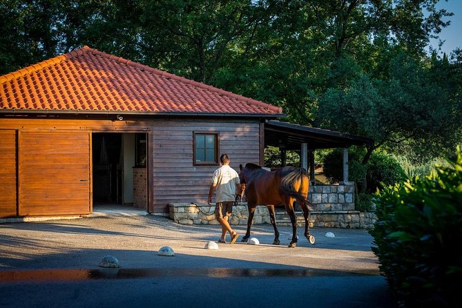Horseback Riding in Konavle Region with Transport from Dubrovnik - Final Thoughts