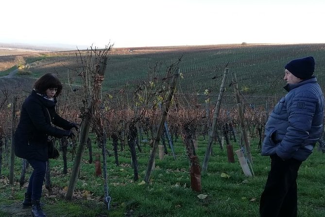 ICONICS Tour: 1/2 day on the Wine Route, visit of 2 Villages + Tasting. - FAQ