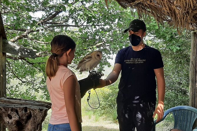 Interactive Educational Course on Birds of Prey - The Sum Up
