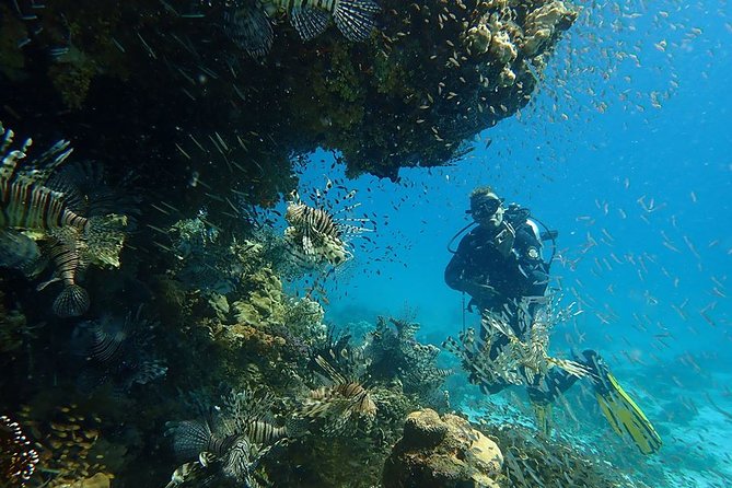 Intro Diving 2 Stops For Beginners with Pick-up and Lunch - Hurghada - Safety and Professionalism