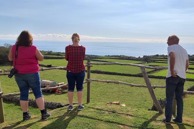 Island Van Tour (Full Day) | Terceira Island - The Verdict: Who Will Love This Tour?