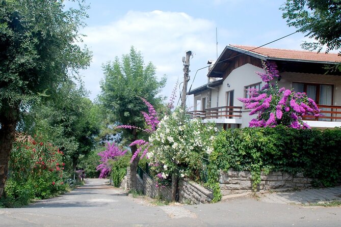Istanbul: Princes Islands Tour with Heybeliada and Büyükada - Who Should Book This Tour?