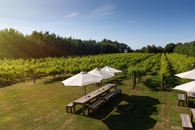 Jersey Premium Vineyard and Distillery Wine Tour and Tasting - Final Thoughts