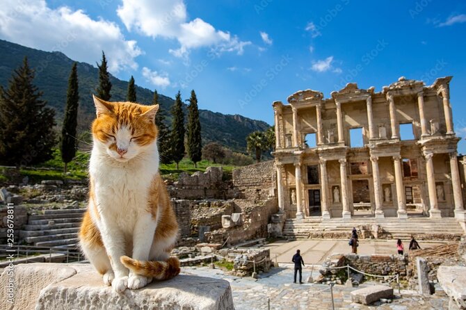 Journey to Ancient Wonders: Explore Ephesus with a Private Tour - Conclusions: Who Is This Tour Best For?