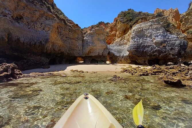 Kayak Adventure through the Ponta da Piedade Caves in Lagos - Cost and Value